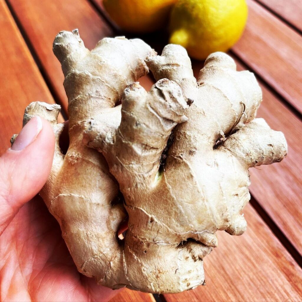 10 Health Benefits Of Ginger That Proves Why It's Needed 10 Health ...